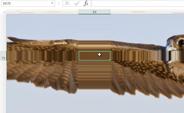 Excel Art – a painting using 224 thousand colour filled cells (and a ...